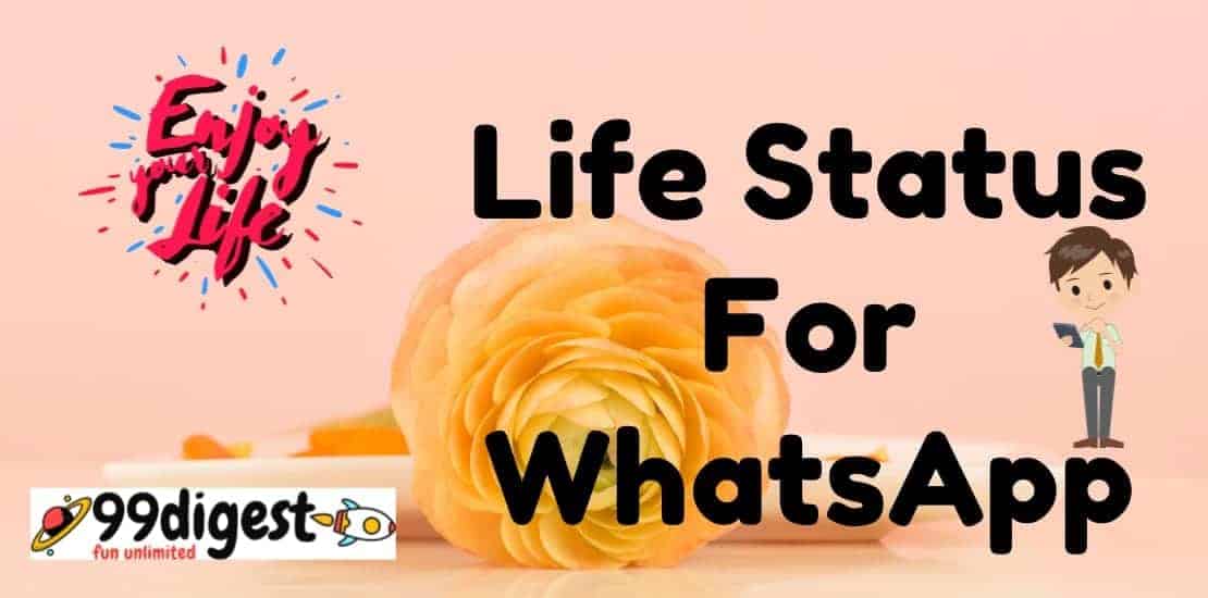 Trendy Best Whatsapp Status That Everyone Went Crazy Over It